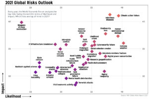 Climate inaction tops WEF risk assessment for 2021 | Lindsey Nicholson